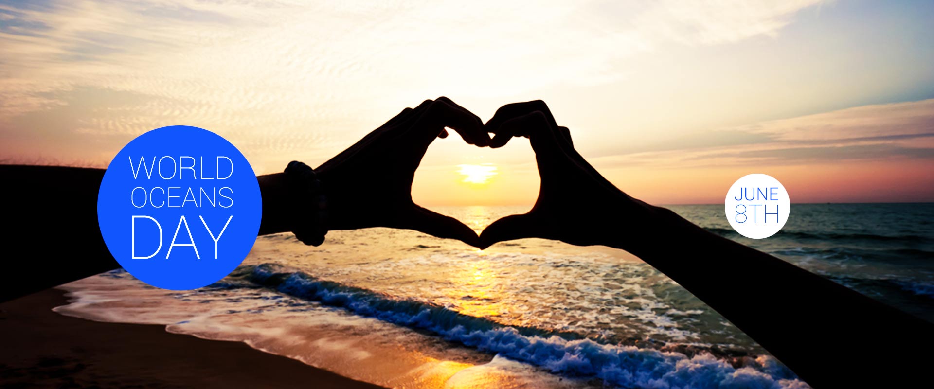 World Oceans Day Celebrate Our Oceans | Ocean Environment